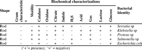 Microscopic And Biochemical Characterization Of Bacterial Isolates