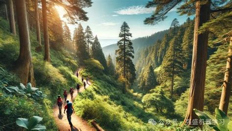 正余弦算法作者又提出新算法！徒步优化算法hoa 2024年一区顶刊新算法 公式原理详解与性能测评 Matlab代码免费获取 Csdn博客