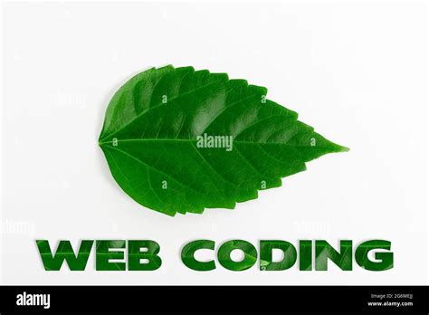 Text Caption Presenting Web Coding Business Idea A System Of Symbols And Rules Used To