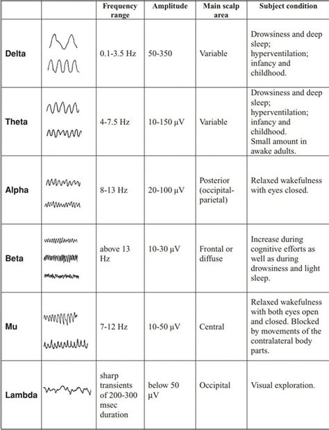 Dr Mohammud Ibraheem On Linkedin Electroencephalography Epilepsy Neurology Sixty