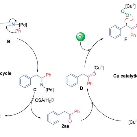 Scheme Proposed Reaction Mechanism Download Scientific Diagram