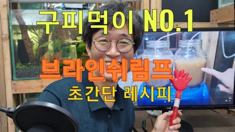 구피를 예쁘게 키우고 싶다면 따라해 보세요 Youtube