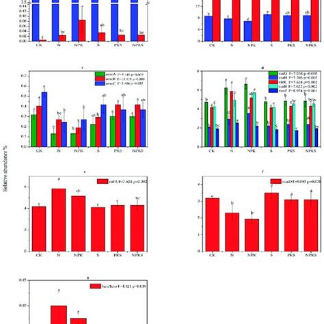 Relative Abundance Of Functional Genes Participating In The N Cycle