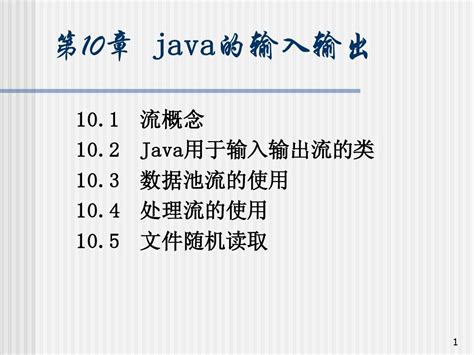 第10章 Java的输入输出word文档在线阅读与下载无忧文档