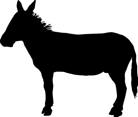 Svg States Symbol Politics Political Free Svg Image And Icon Svg Silh