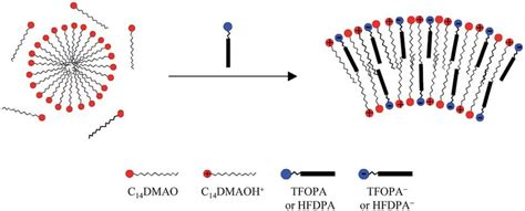 Schematic Illustration Of The Aggregate Transition In The C 14 Download Scientific Diagram