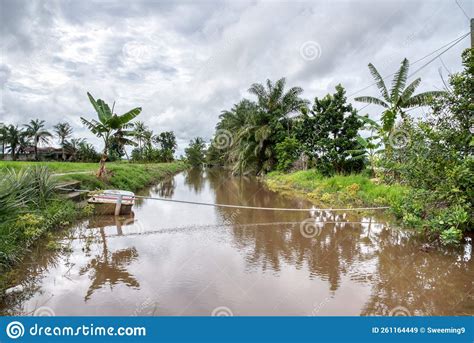 Single Plank Bridge Royalty Free Stock Image 49993648