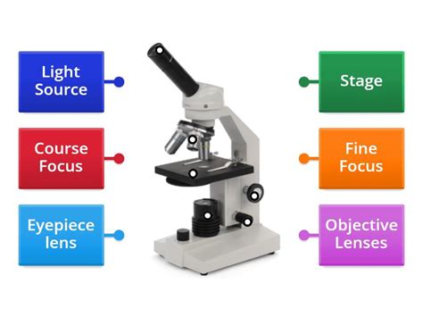 Label The Light Microscope Labelled Diagram