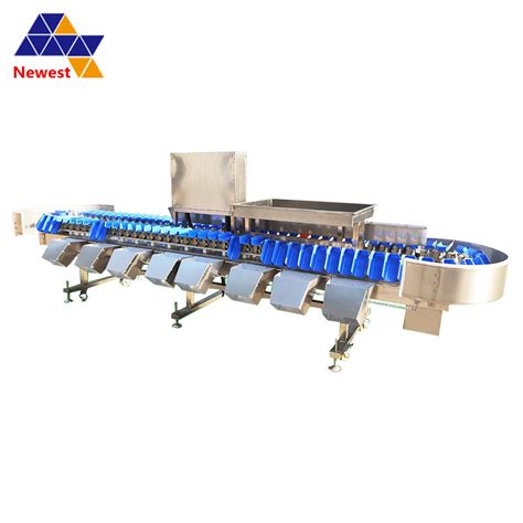 Advanced Technical Weighting Sorting Machine Scallop Grader Machine Oysters Crayfish Sorting