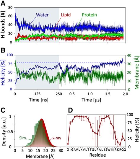 Melittin Absorption And Folding A Hydrogen Bonding Contacts Between Download Scientific