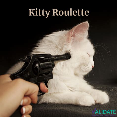 How To Avoid Fip In Your Cat Biogal