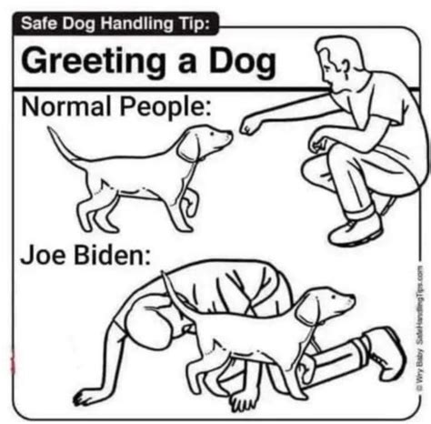 biden page 2 the drunken stepforum a place to discuss your worthless opinions
