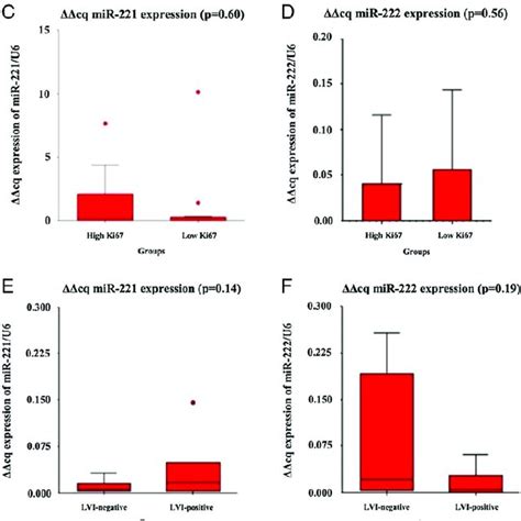 Mir 221 222 Expression In Patients Categorized Based On Several Breast Download Scientific