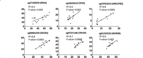 Validation Of Illumina 450 K Dna Methylation Bead Array By Download Scientific Diagram