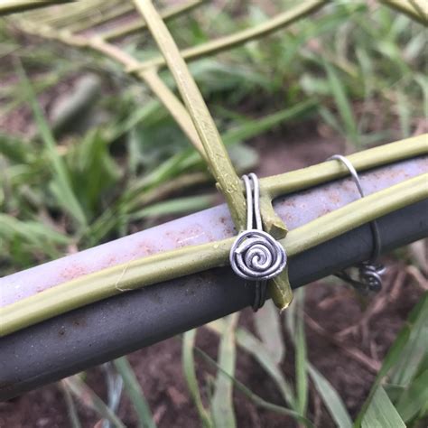 How I Built A Cucumber Support For Free Homegrown Garden