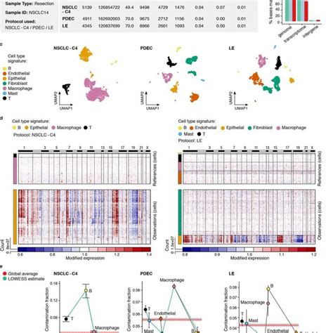 Cell Type Specific Qc Metrics For Scrna Seq Protocol Comparison In A Download Scientific
