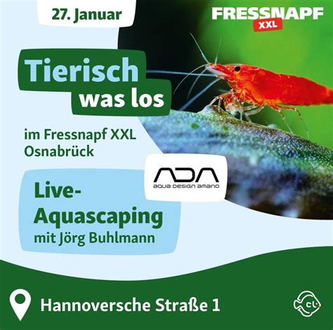 Live Aquascaping Mit Jörg Buhlmann Ea European Aquaristics Gmbh