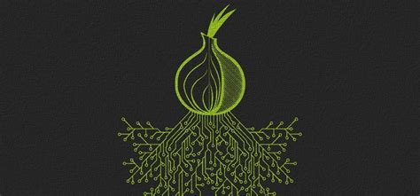 Null Byte The Aspiring White Hat Hacker Security Awareness Playground Null Byte WonderHowTo