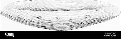 Across Australia Four Feet Andare Always Constructed So That They Will Stand Upright Onthe