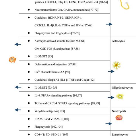 Crosstalk Between Microglia And Their Neighboring Cells Download Scientific Diagram