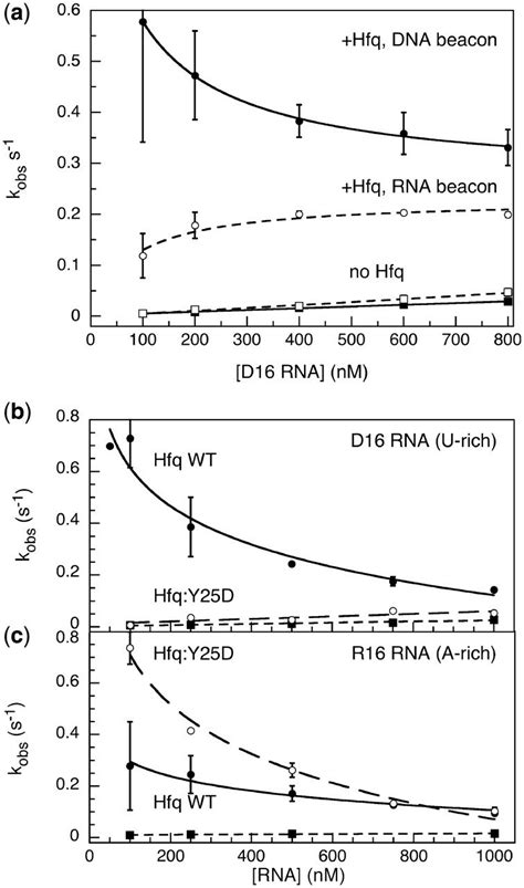 Inhibition Of Hfq Dependent Annealing By Excess Rna A Annealing Download Scientific Diagram