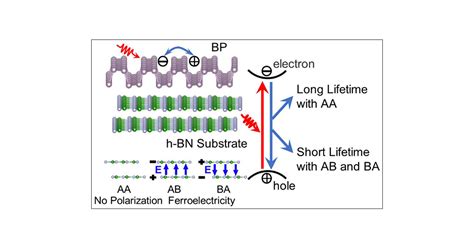 Substrate Ferroelectric Proximity Effects Have A Strong Influence On Charge Carrier Lifetime In