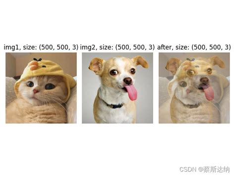 图像增强库albumentationsv130 20235中所有图像增强方法记录（class） Csdn博客