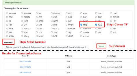 Euphorbiaceae Db Tutorial
