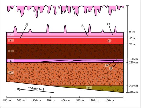 Stratigraphic Levels Of Horizontal Facies Identified In The Analysed Download Scientific