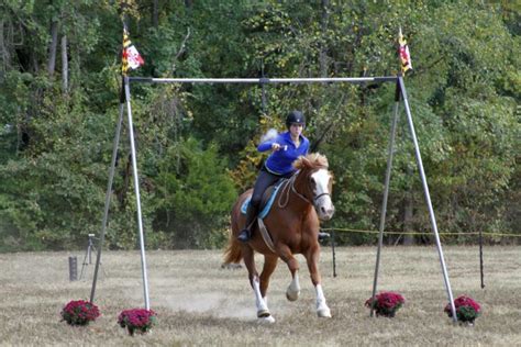 Global Facility Solutions Hires Emily Trawick Sustainability Analyst To Lead The Charge On