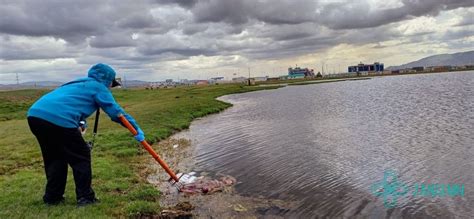 Zangi Mn Эмзэг бүлгийн орон гэргүй иргэд Хун нуур орчмыг цэвэрлэжээ