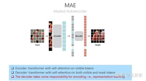 人工智能 自监督表征预训练之掩码图像建模：cae 及其与 Mae、beit 的联系 个人文章 Segmentfault 思否
