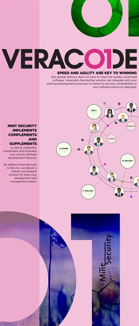 Mint Security Veracode