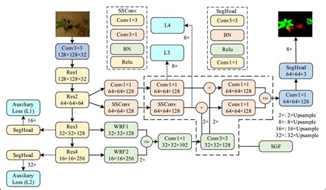 Real‐time Semantic Segmentation Network For Crops And Weeds Based On Multi‐branch Structure