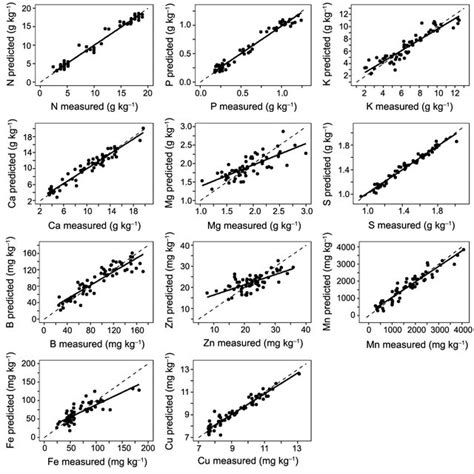 Relationship Between Leaf Nutrient Concentrations Measured And