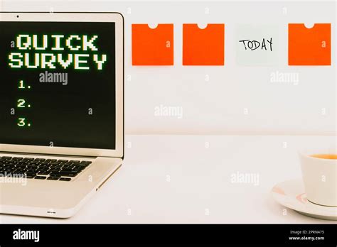 Hand Writing Sign Quick Survey Word For Conduct Fast Check On Condition Value Situation Of