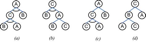 Different Kinds Of Rooted Trees From Left To Right A Download Scientific Diagram