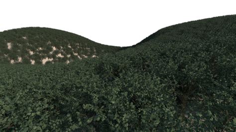 Opacity — Guerilla Render 1412 Documentation