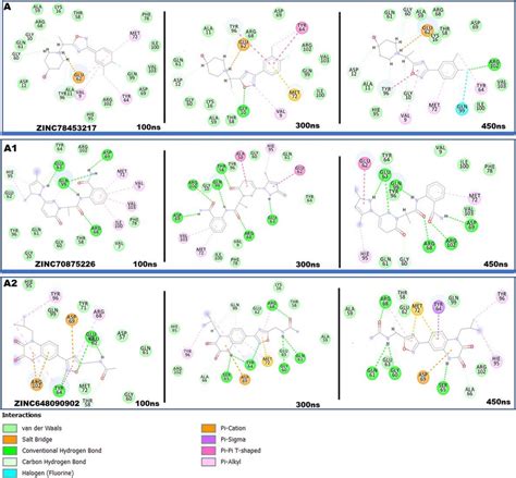 2d Interactions Of Hit Compounds With Krasg12d Binding Site Residues Download Scientific