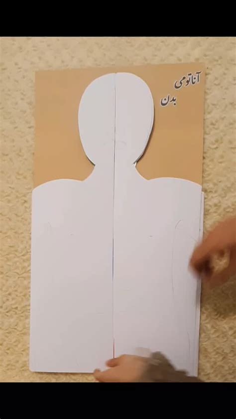 Zahra ‎ماکت اجزای بدن انسان 👤😍 ارتفاع ۵۵ سانت با کیفیت عالی مناسب