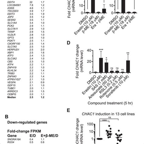 Structure Activity Relationship Sar Analysis Of Erastin A Download Scientific Diagram