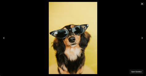 yet another react lightbox examples forked codesandbox