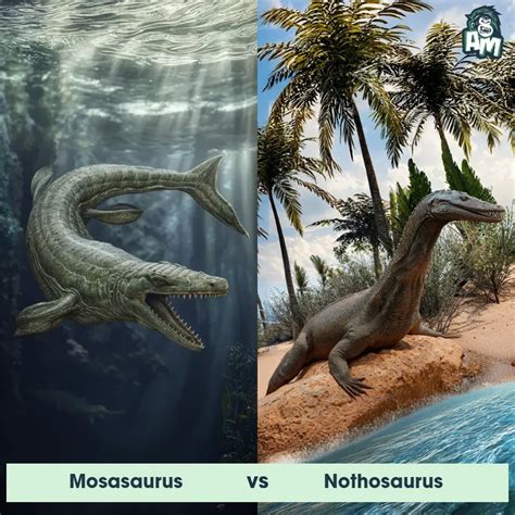 Nothosaurus Predator Prey Interactions Fights And Aggressive