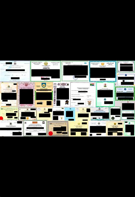 Thousands Of Confidential UN Documents Linked To Gender Equality Push Leaked Online TechRadar