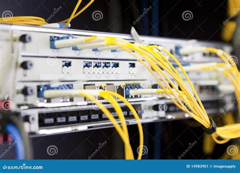 Network Switch Stock Image Image Of Connected Cat