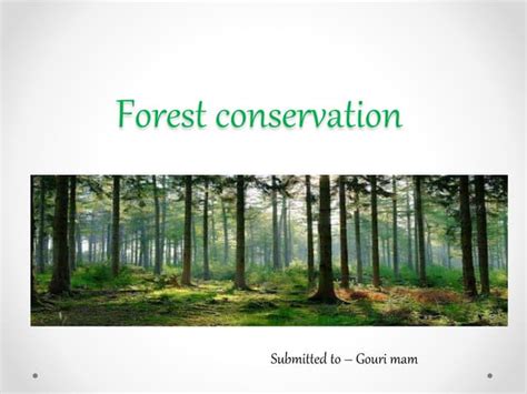 Forest Conservation Ppt