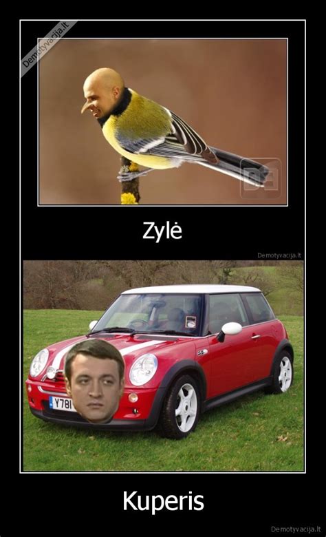 Kuperis Demotyvacija Lt