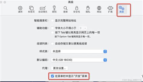 Safari浏览器如何打开开发者工具safari打开开发者工具 Csdn博客