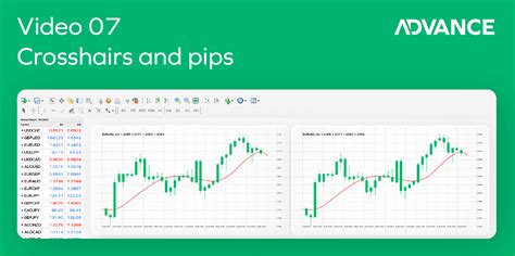 mt4 tutorials guides on the most popular trading platform